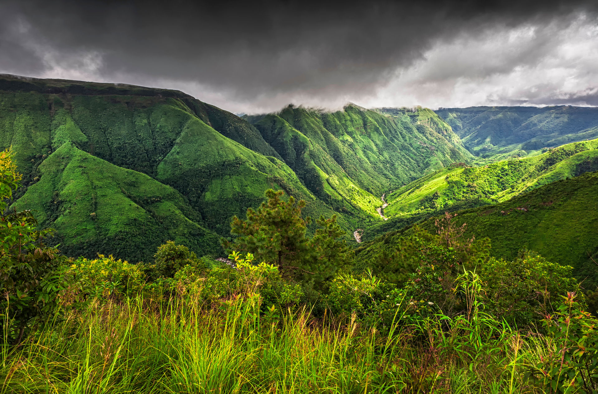 Best Places to Visit in July in India | Monsoon Travel Guide (2026 ...